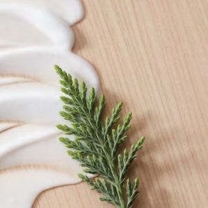 Tatcha | Bath & Body | New Tatcha Hinoki Body Milk Lightweight Milky ...